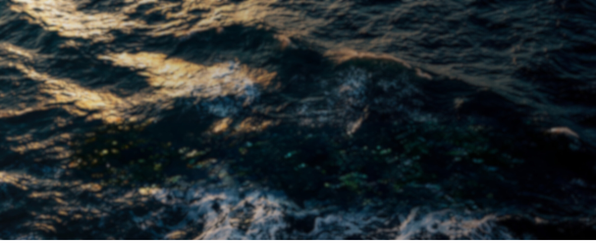 Longitude Health - BPD Healthcare